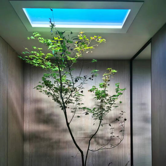 Blue Sky Sun Light – LEDLOY LIGHTING