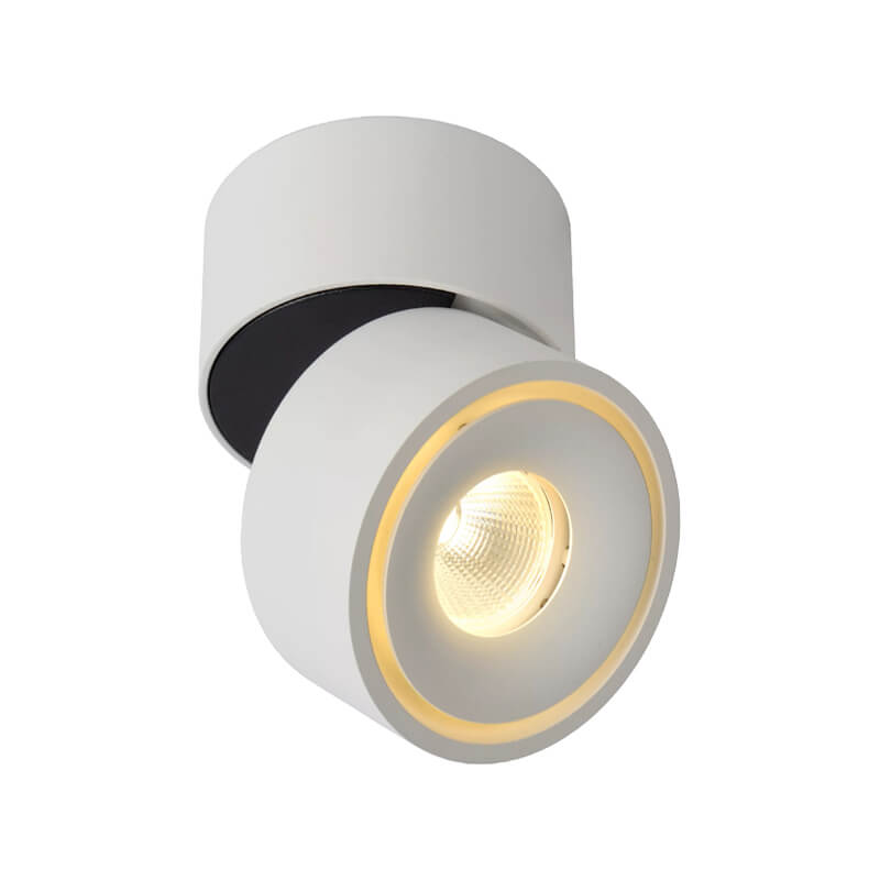 360 degree Adjustable LED Surface Mounted COB Downlight – LEDLOY ...